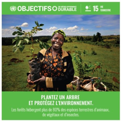 LES 17 ODD DE L'ONU - CQS RSE